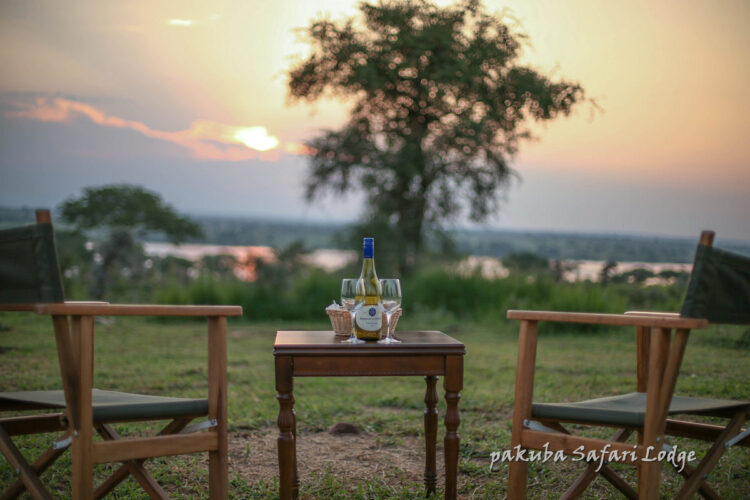 Welcome to Pakuba Safari Lodge – Murchison Falls National Park